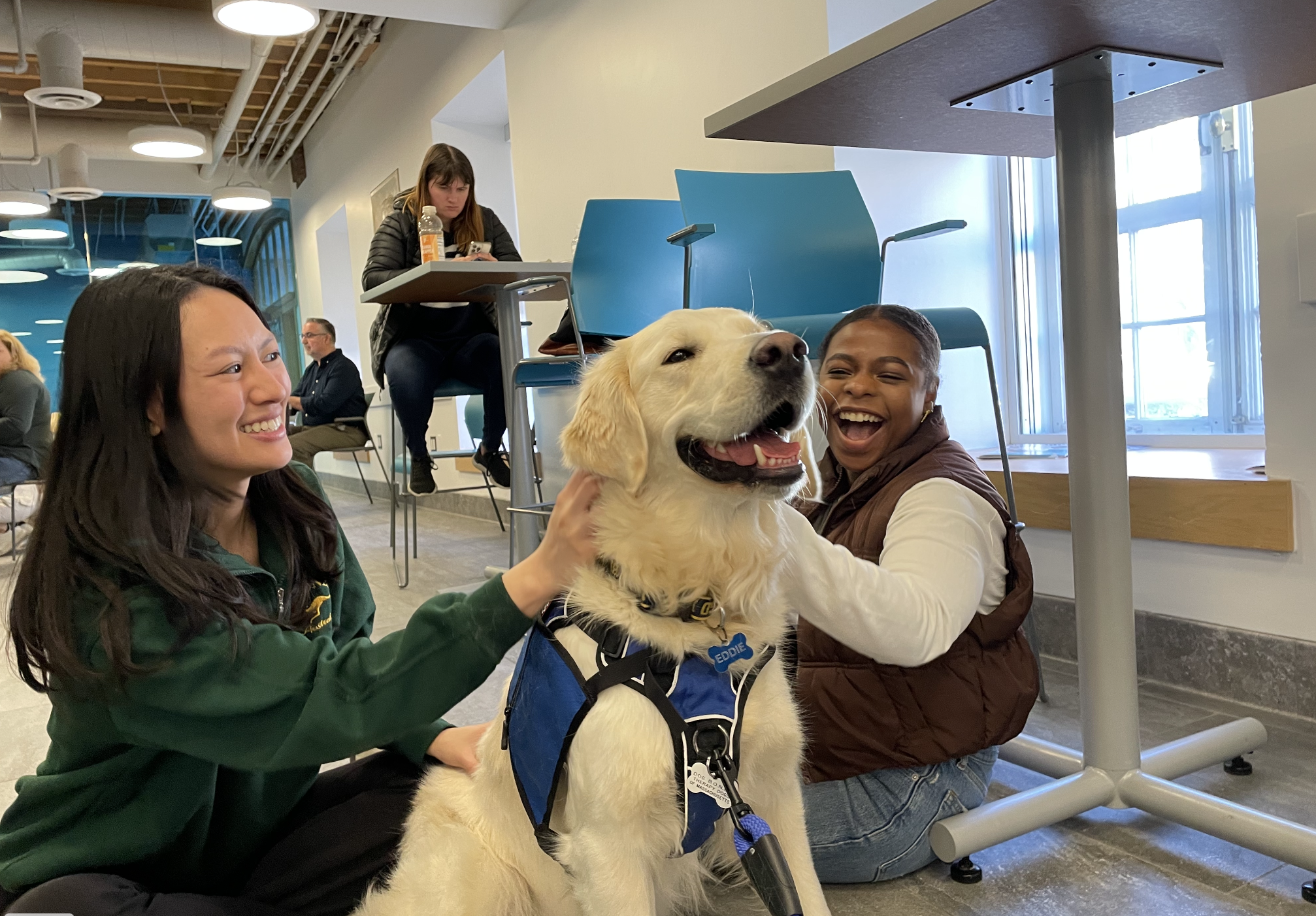 BRIEF: Therapy Dogs Visit Campus | MGH Institute of Health Professions