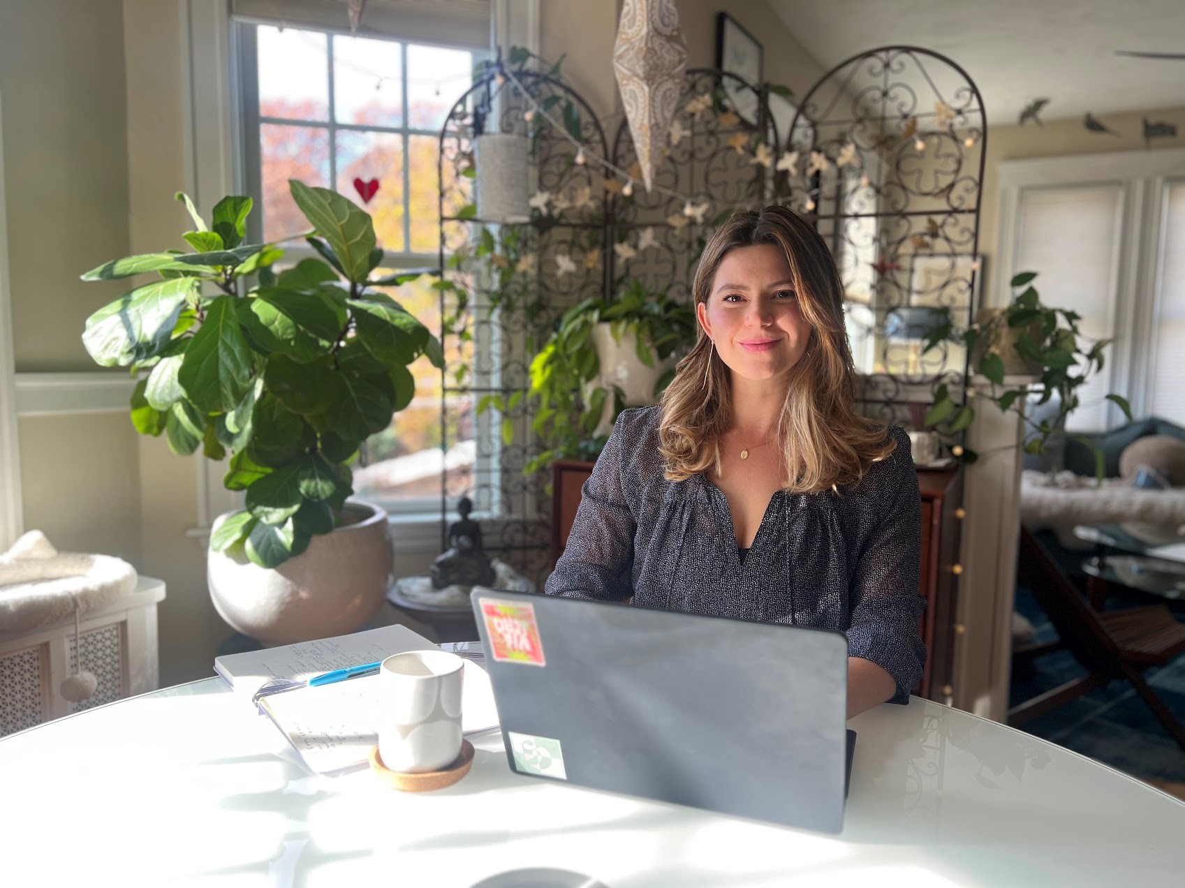 Master of Data Analytics Alumna Helps Healthier Democracy Chart Path ...